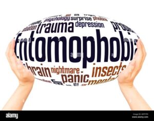 Entomophobia Definition Symptoms Causes Treatments | HealthyTipp